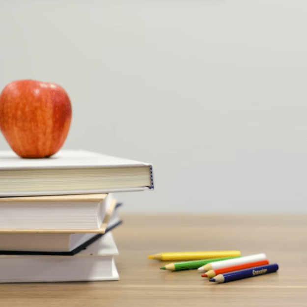 Kas yra STEAM ugdymas: programos, mokymosi metodai EDUKO.LT